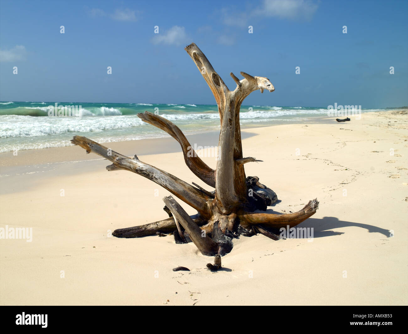 Yucatan, Punta Allen Stock Photo - Alamy