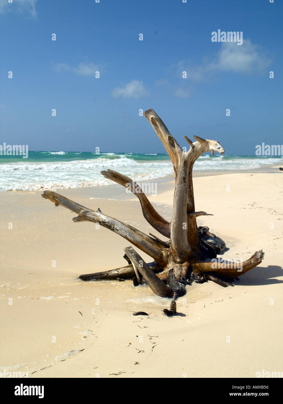 Yucatan, Punta Allen Stock Photo - Alamy