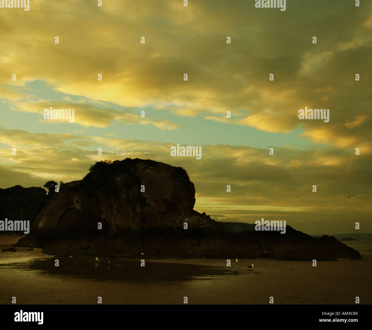 Tenby, Pembrokeshire, Wales Stock Photo - Alamy