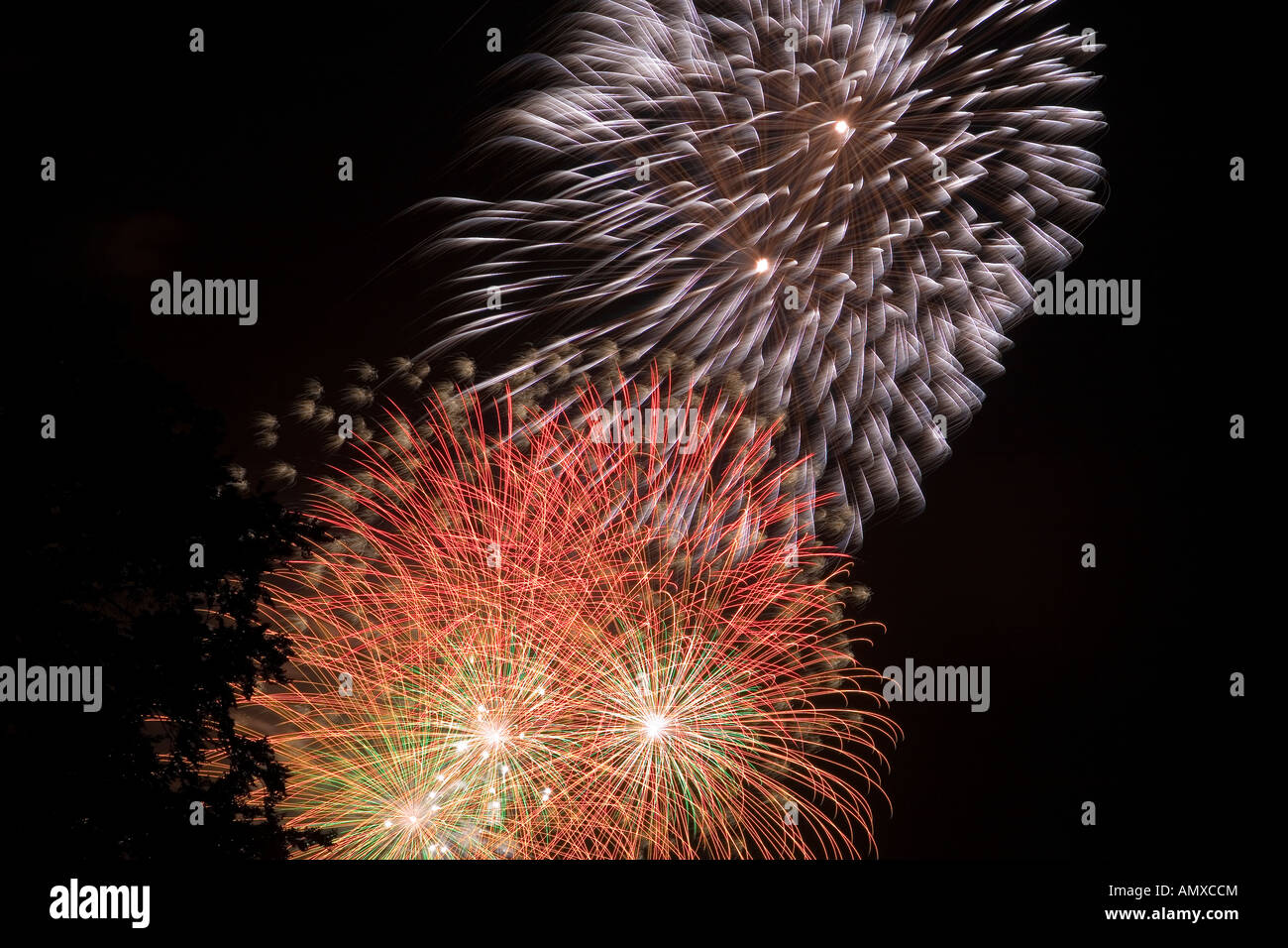 Fireworks behind trees Stock Photo - Alamy