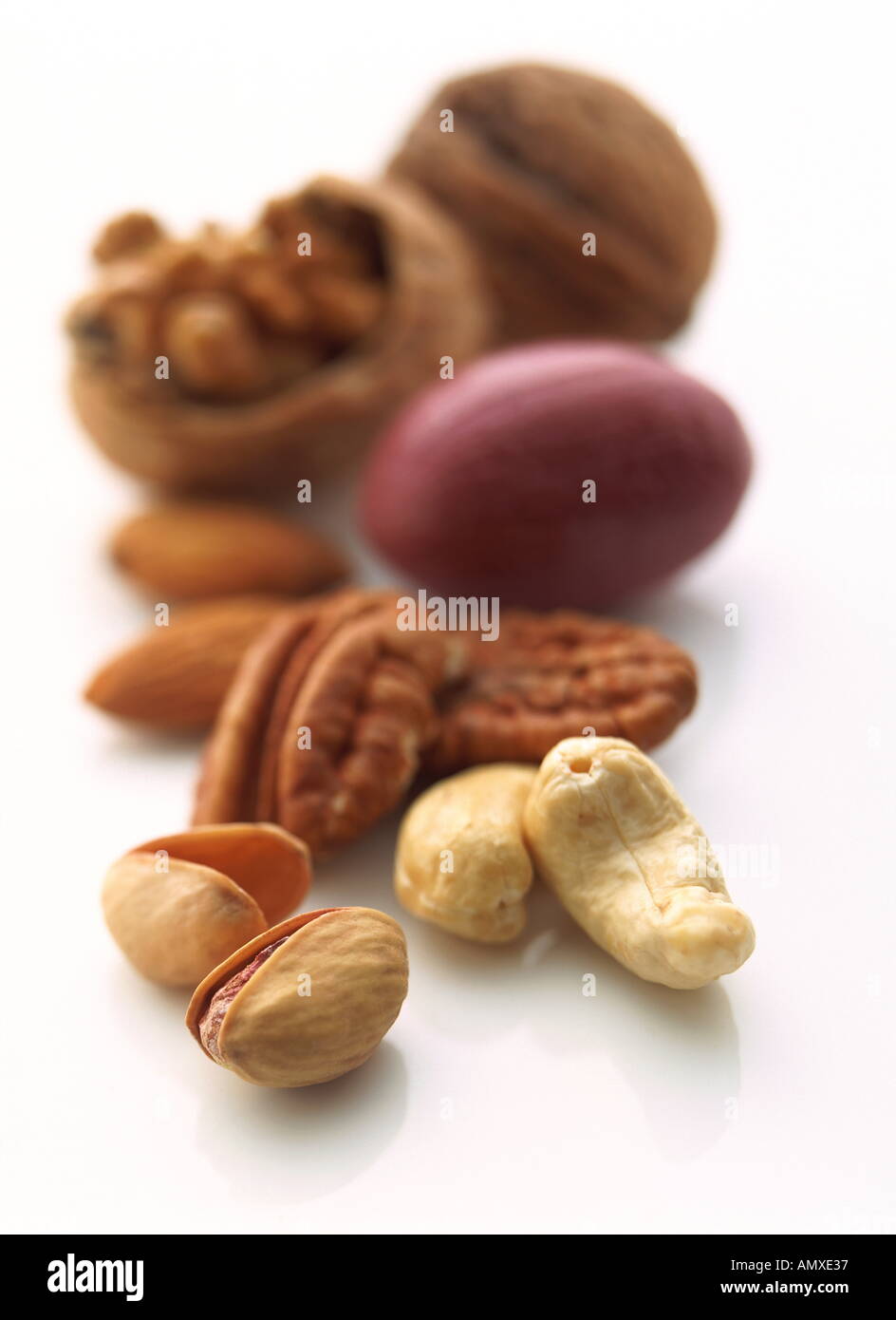 Agriculture cashew nut cashew nuts Cut Out Stock Images & Pictures - Alamy