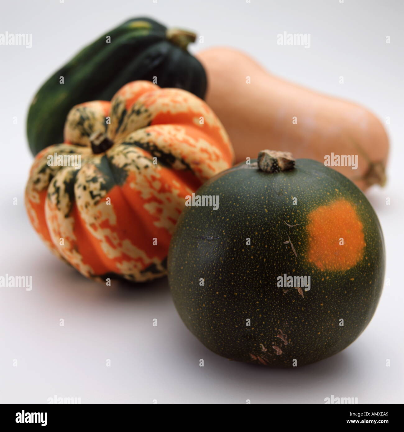 Harlequin squash hi-res stock photography and images - Alamy