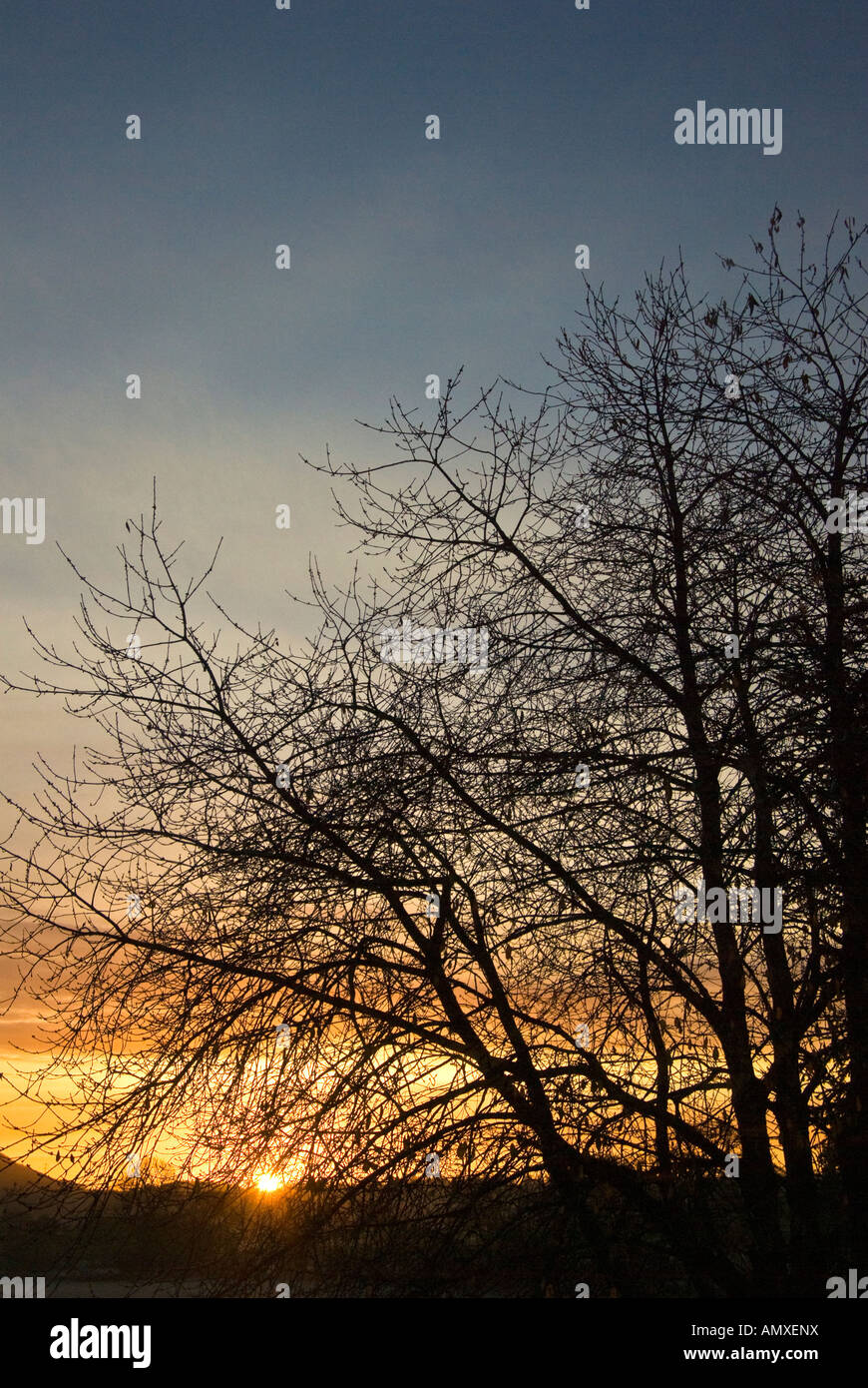 New opportunity hi-res stock photography and images - Alamy