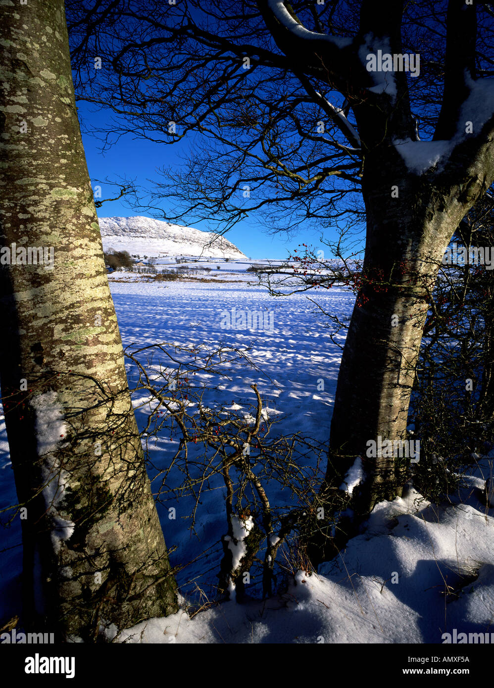 Slemish hi-res stock photography and images - Alamy