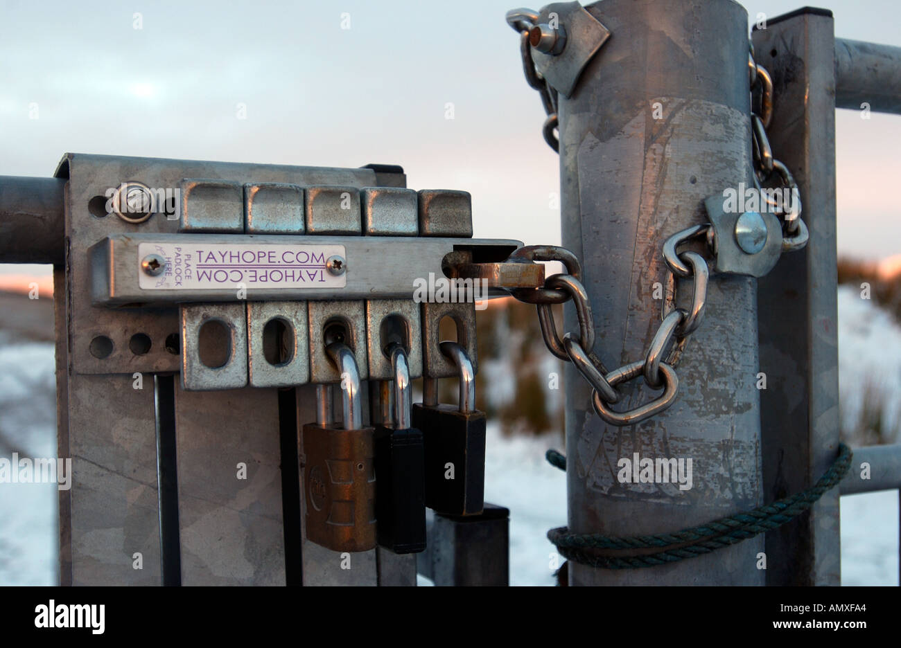 Padlock and chain on gate Stock Photo - Alamy