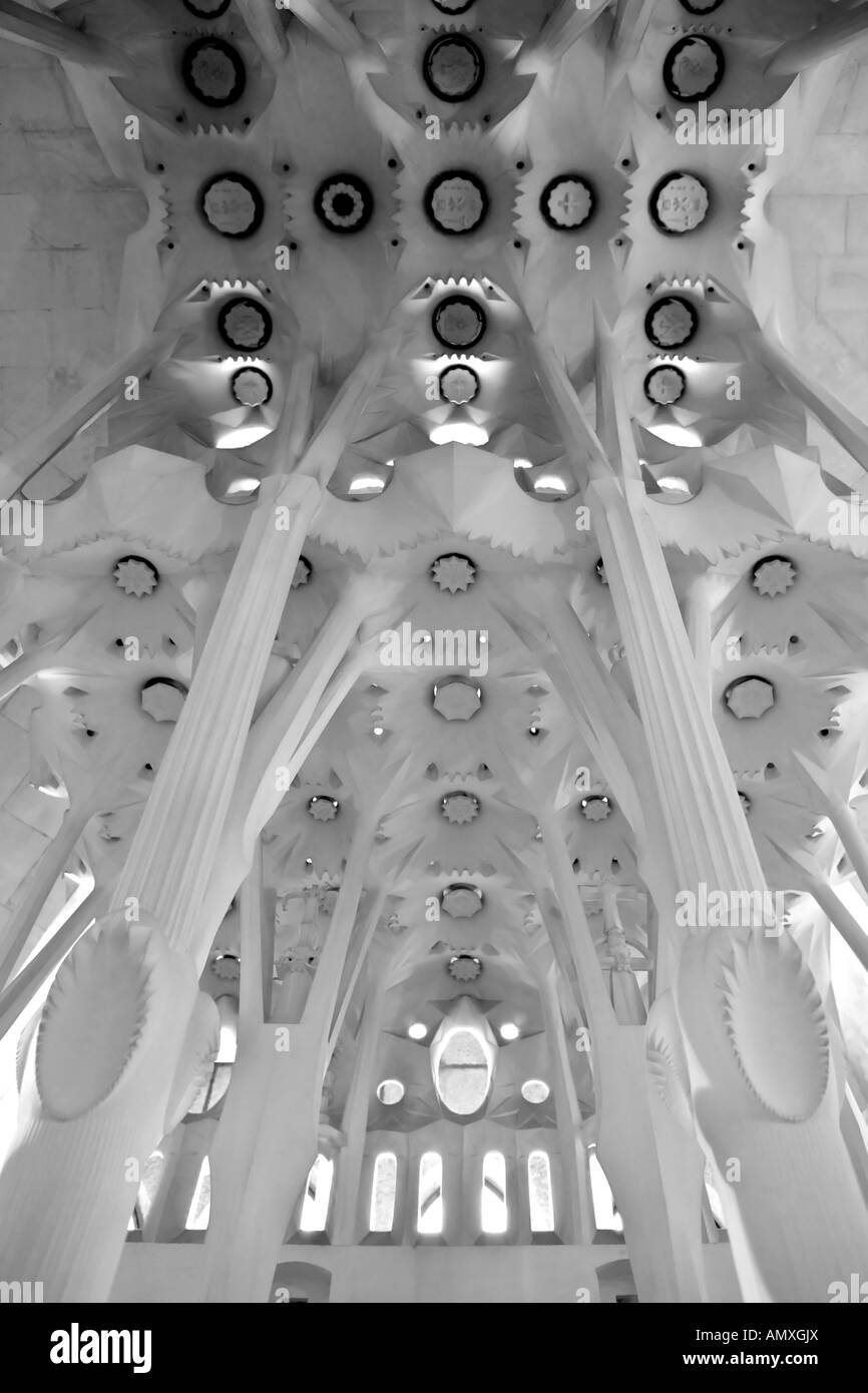 Sagrada Familia Gaudi cathedral ceiling detail Stock Photo - Alamy