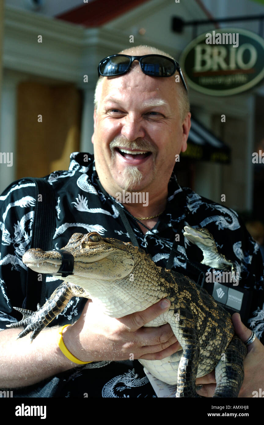 Smiling alligator hi-res stock photography and images - Alamy