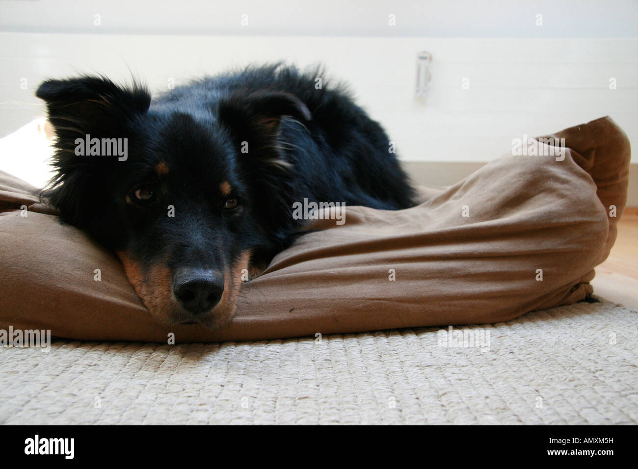 Interior shot ground floor hi-res stock photography and images - Alamy
