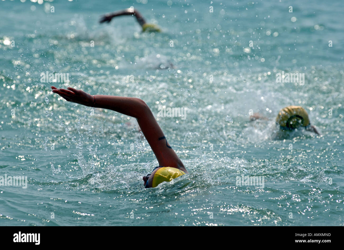 Swimmers, swimming, ocean race, sea, compete Stock Photo - Alamy