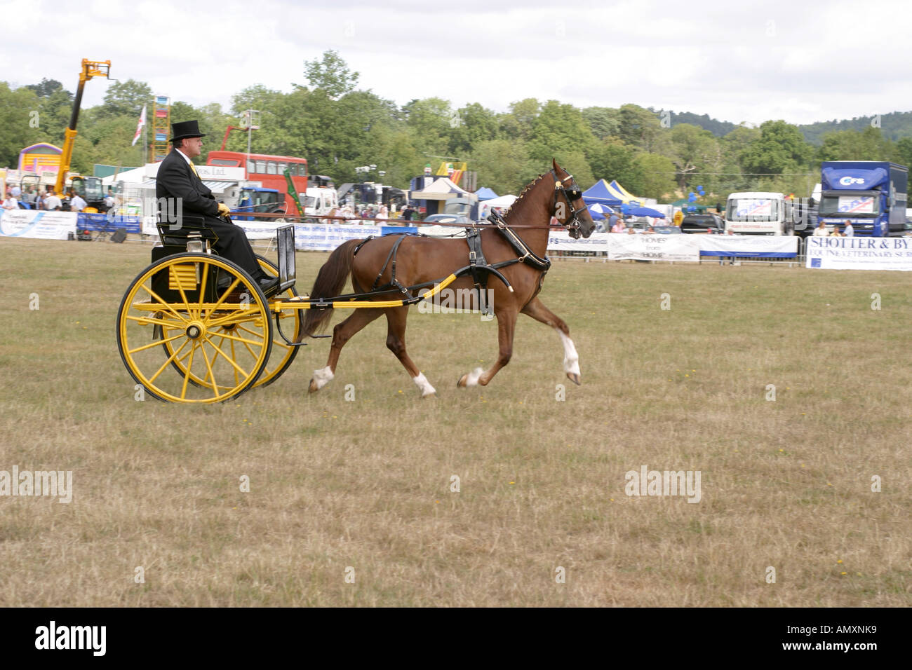 The Cranleigh Show August 2006 Stock Photo - Alamy