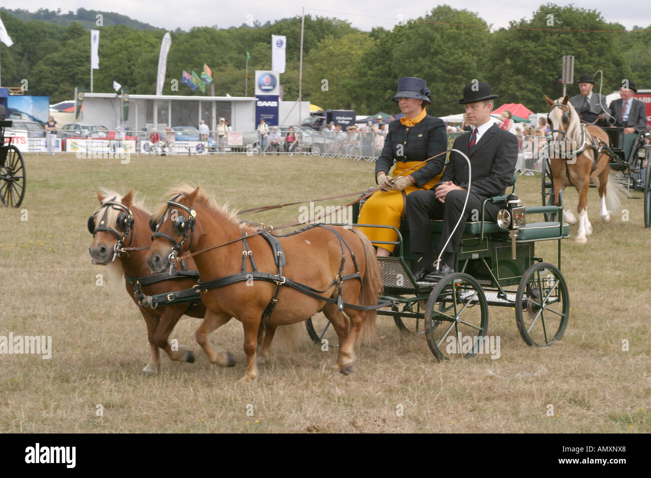 Shetland pony carriage driving hi-res stock photography and images - Alamy