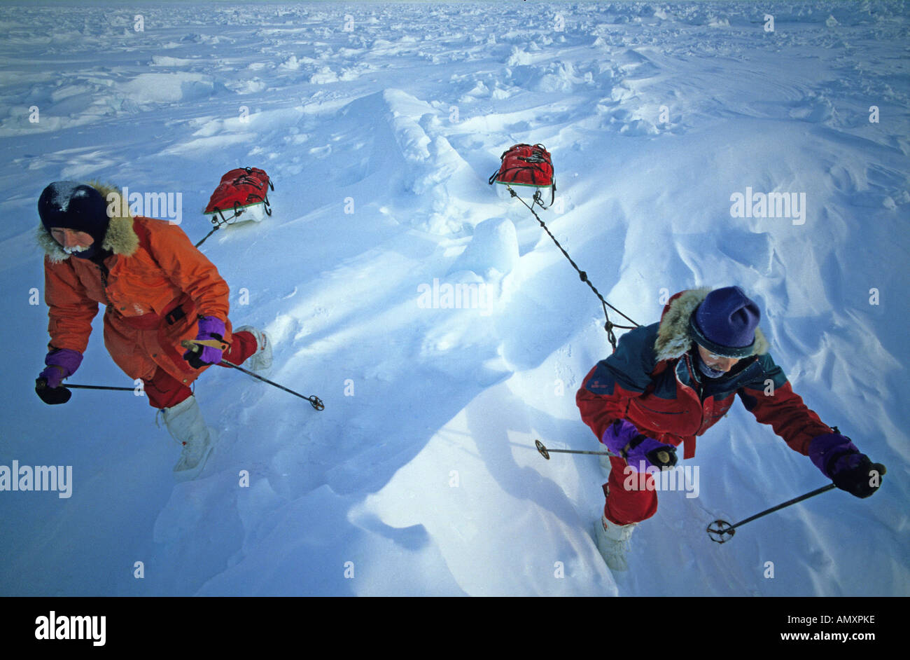 Royal Marines hauling sleds over frozen Arctic Seas Stock Photo - Alamy
