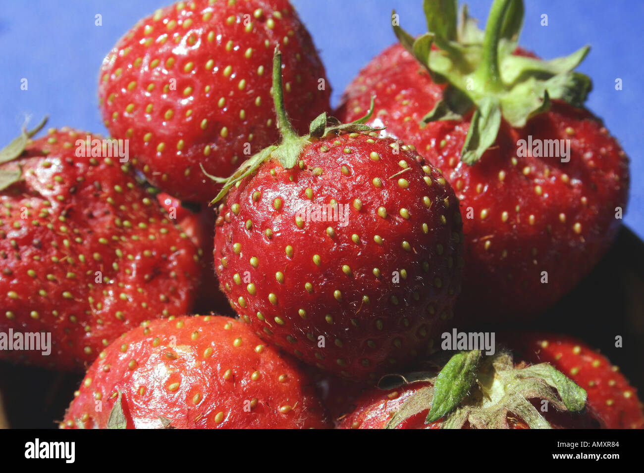 Strowberry hi-res stock photography and images - Alamy