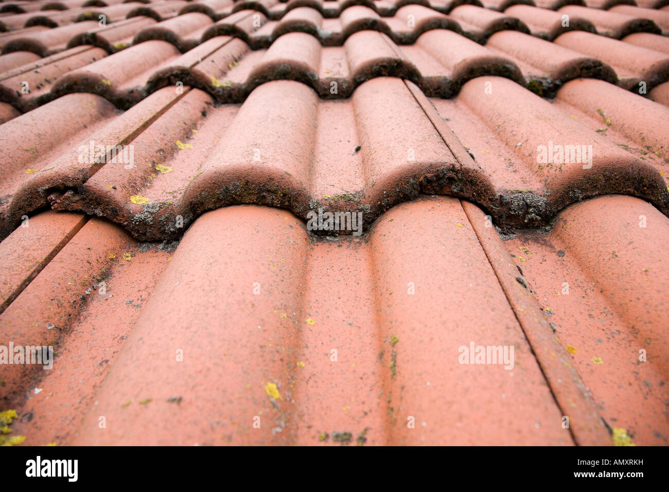 Smutty hi-res stock photography and images - Alamy