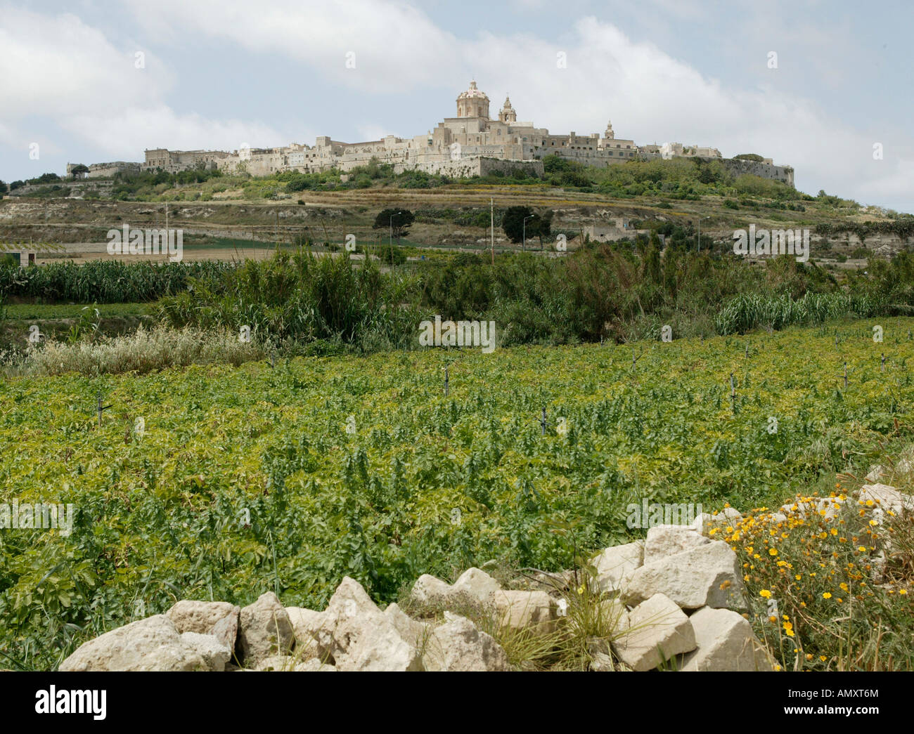 Castle on hill, Mdina, Malta Stock Photo - Alamy