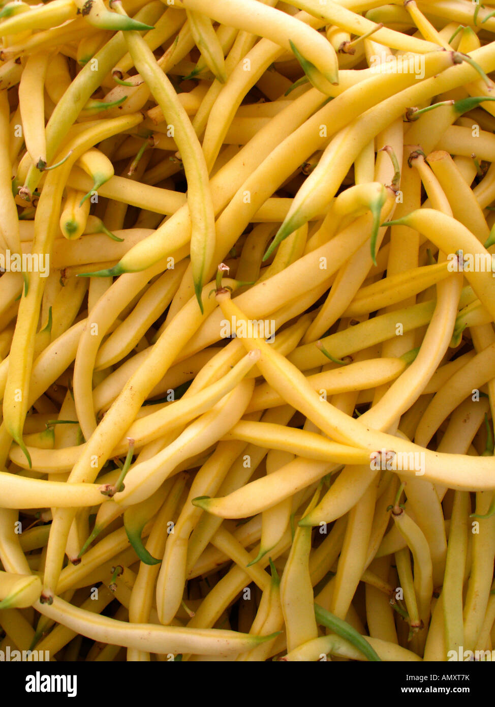 Close up of yellow string beans Stock Photo - Alamy