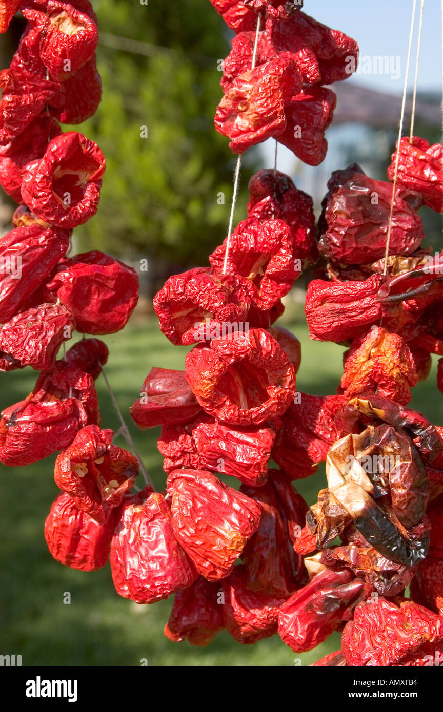 Turkey Aphrodisias in the Meander jalapeno pepper is dried in the sun ...