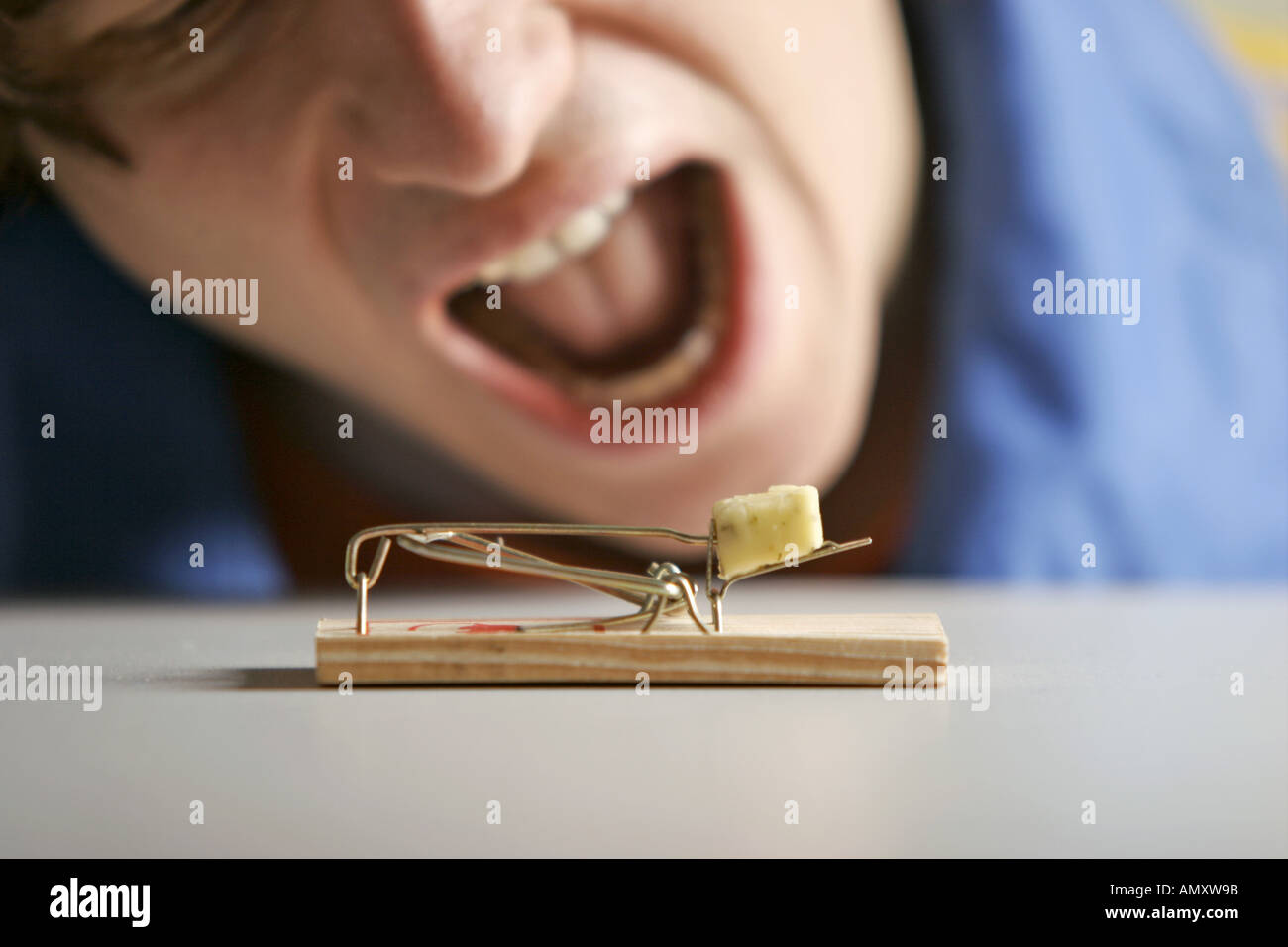 man looking at mousetrap Stock Photo - Alamy