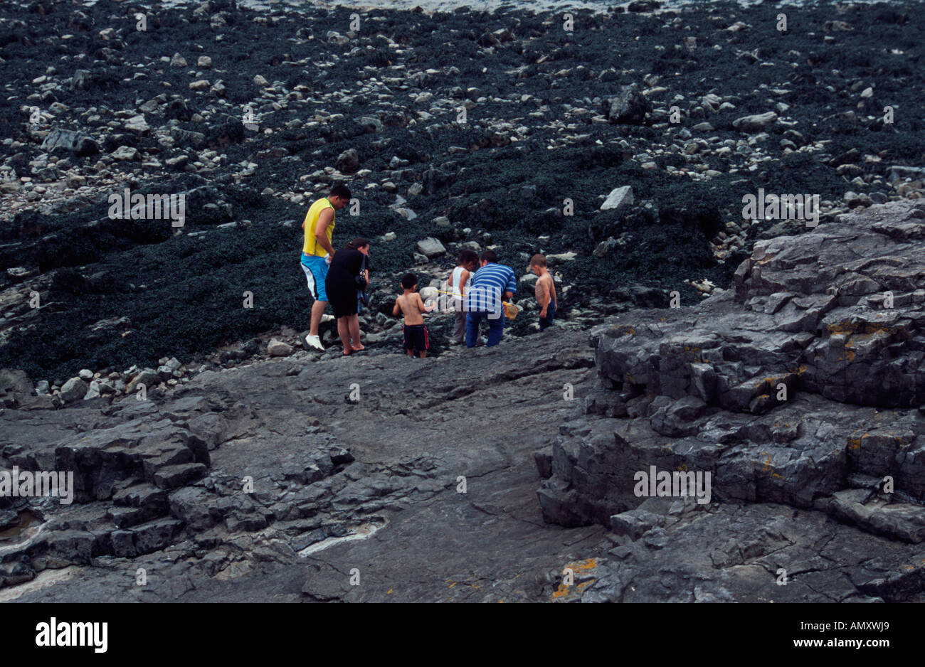 Exploring rockpools hi-res stock photography and images - Alamy