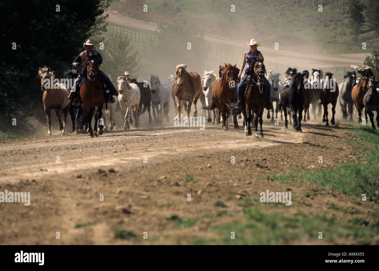 Cowboy alley hi-res stock photography and images - Alamy