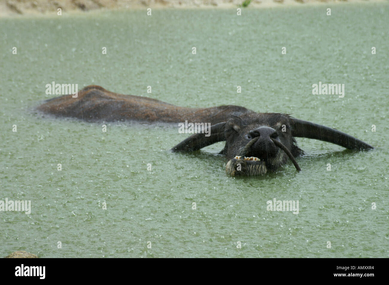 Yubu island hi-res stock photography and images - Alamy