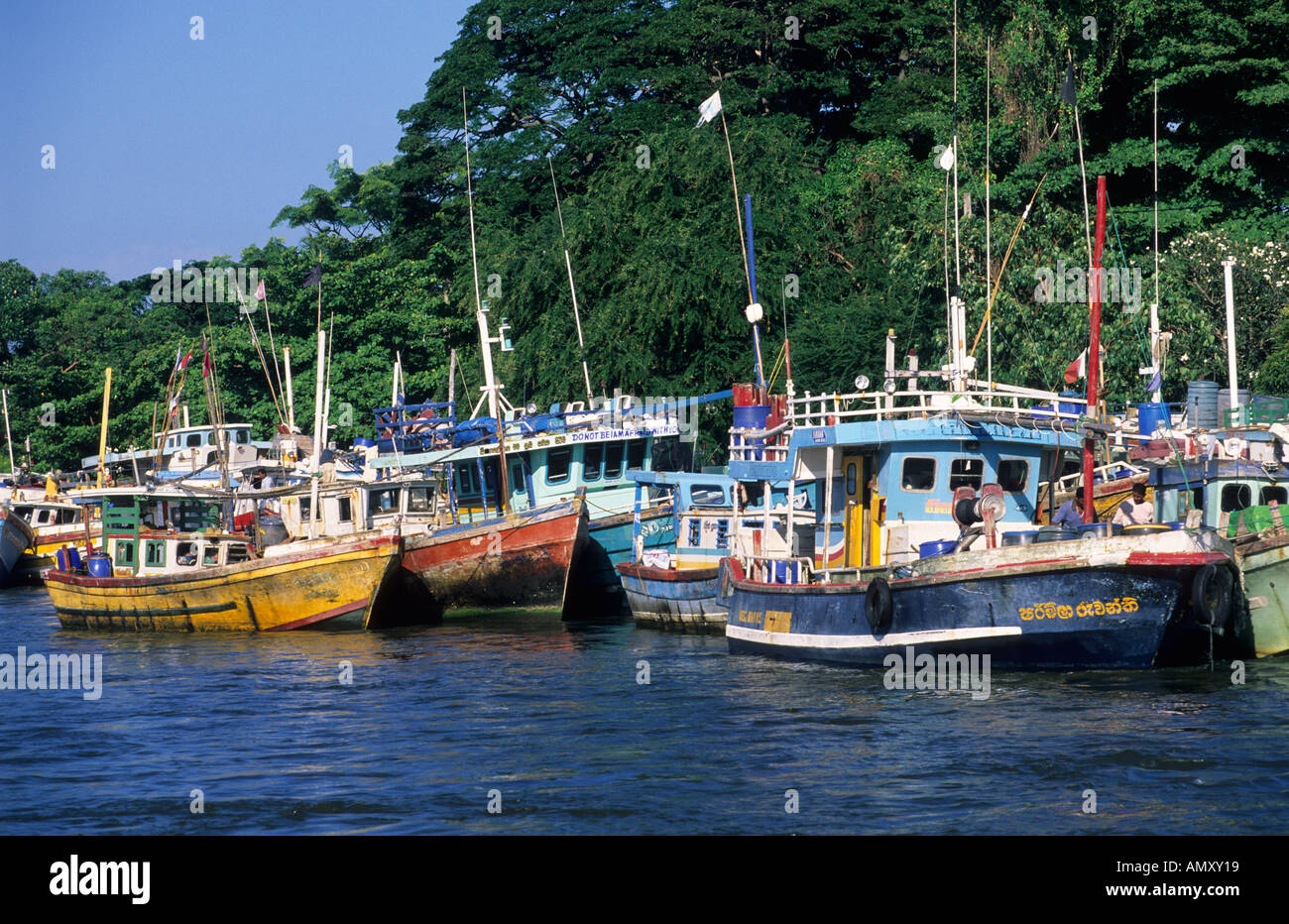 old fishing boats in the harbor of Negombo Stock Photo - Alamy