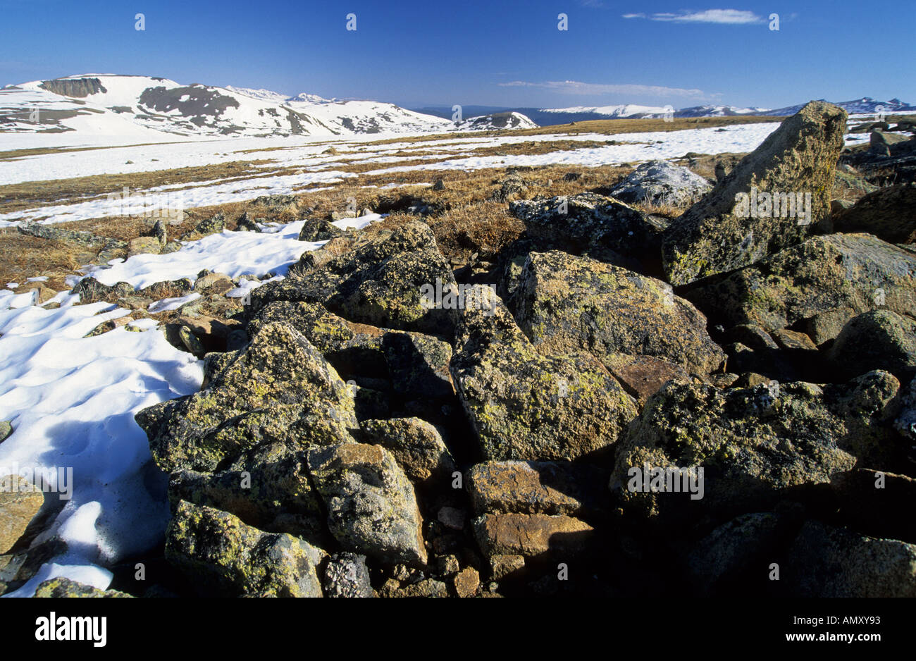 Alpine tundra rock formation hi-res stock photography and images - Alamy