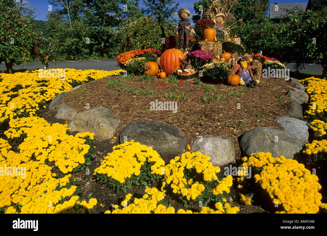 typical american garden decoration in fall Stock Photo - Alamy