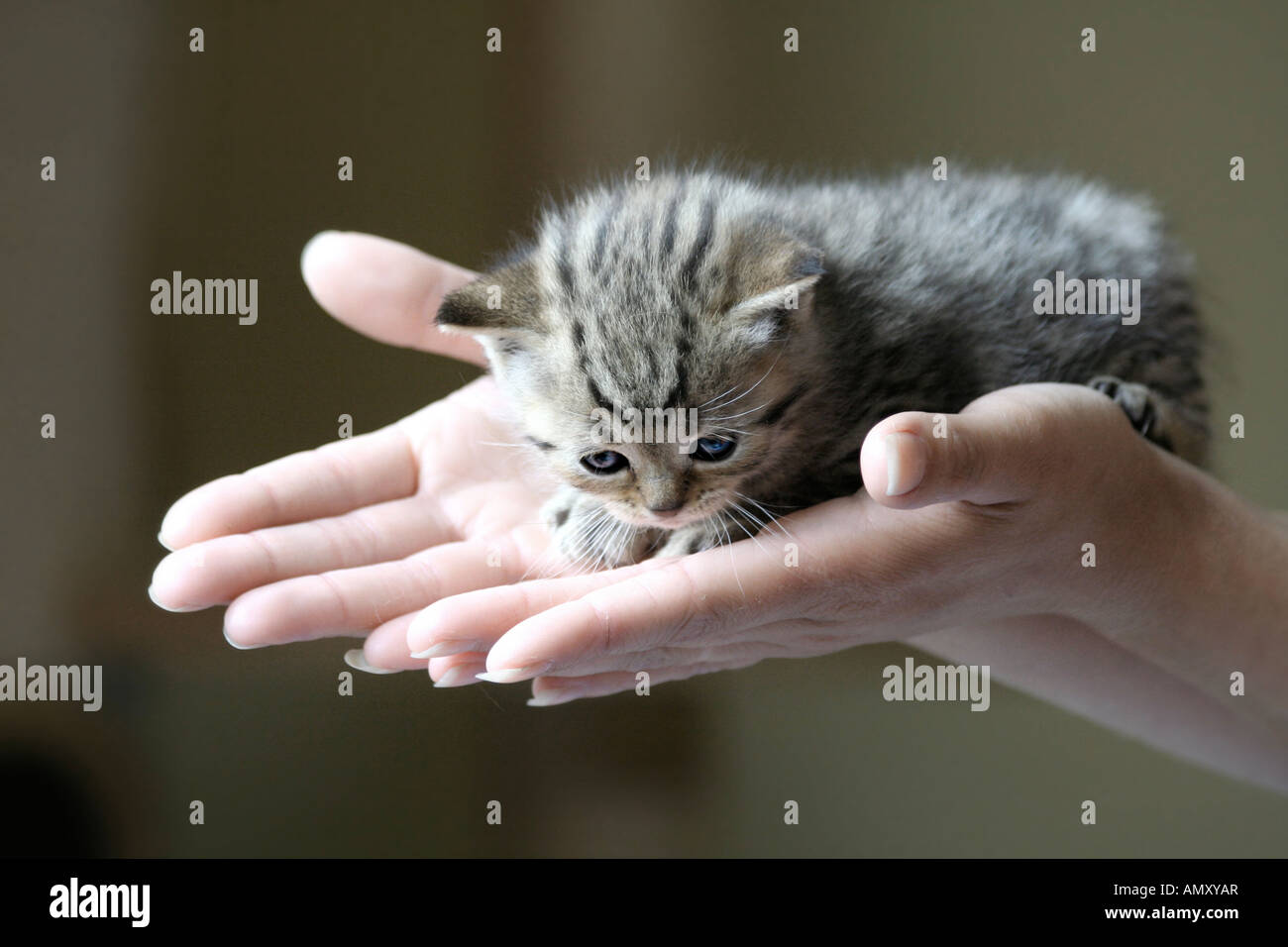 Womans hands palms down hi-res stock photography and images - Alamy