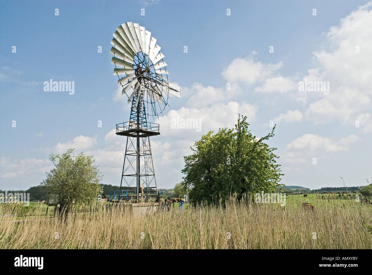 Traditional windmill on rural landscape, Moenchgut, Ruegen Island ...