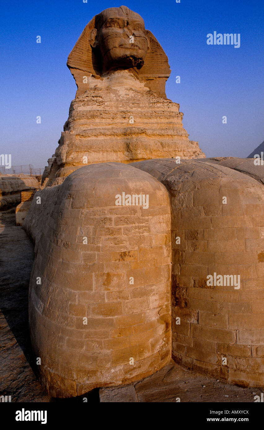 Low angle view of Sphinx, Giza, Egypt, Africa Stock Photo - Alamy