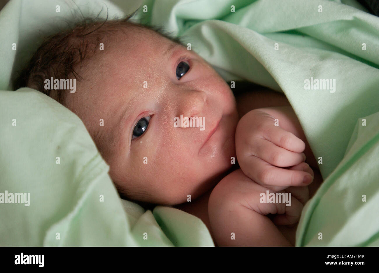 Newborn baby wrapped in a sheet, close-up Stock Photo - Alamy