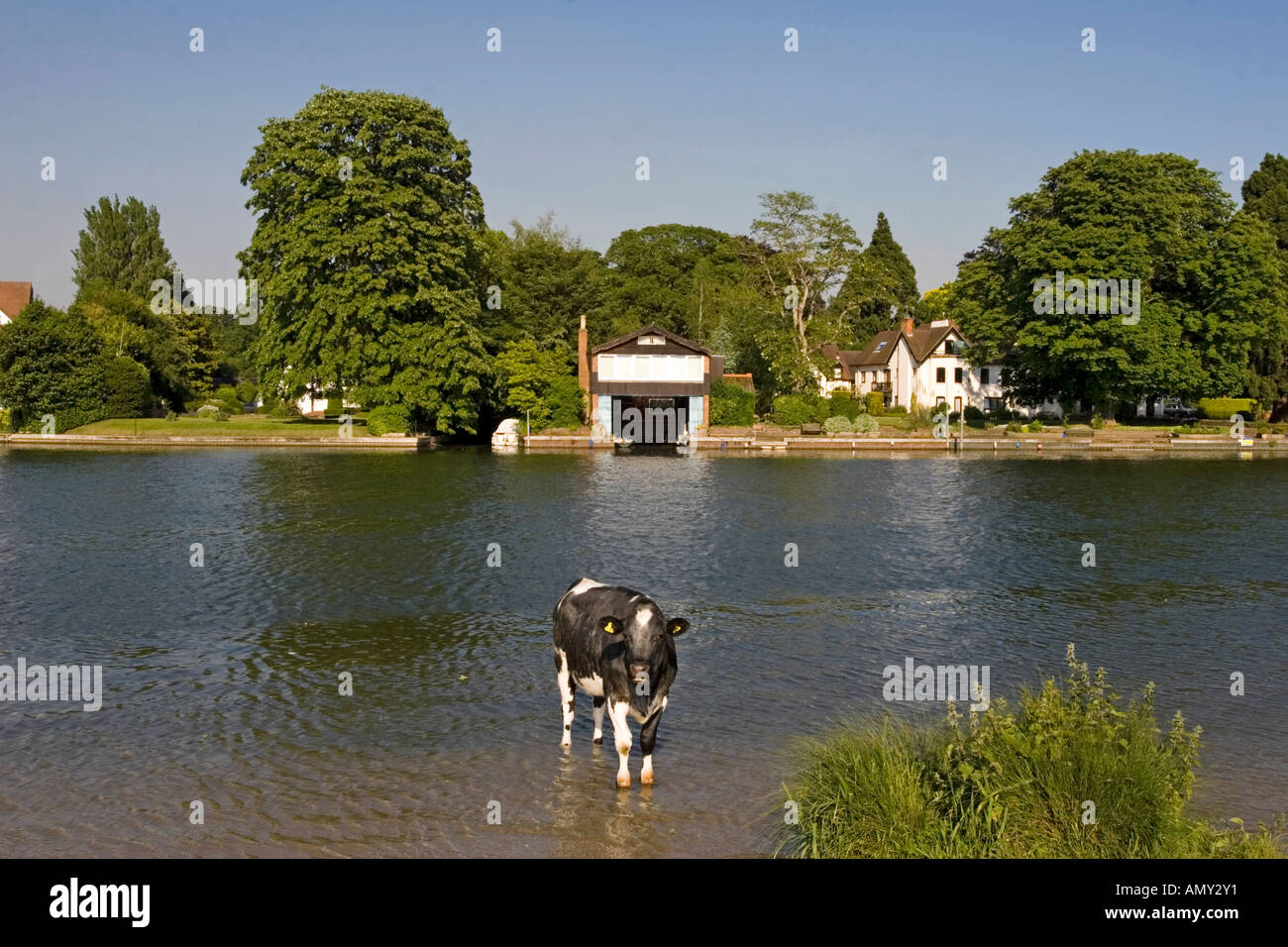 River Thames - Bourne End - Buckinghamshire Stock Photo - Alamy