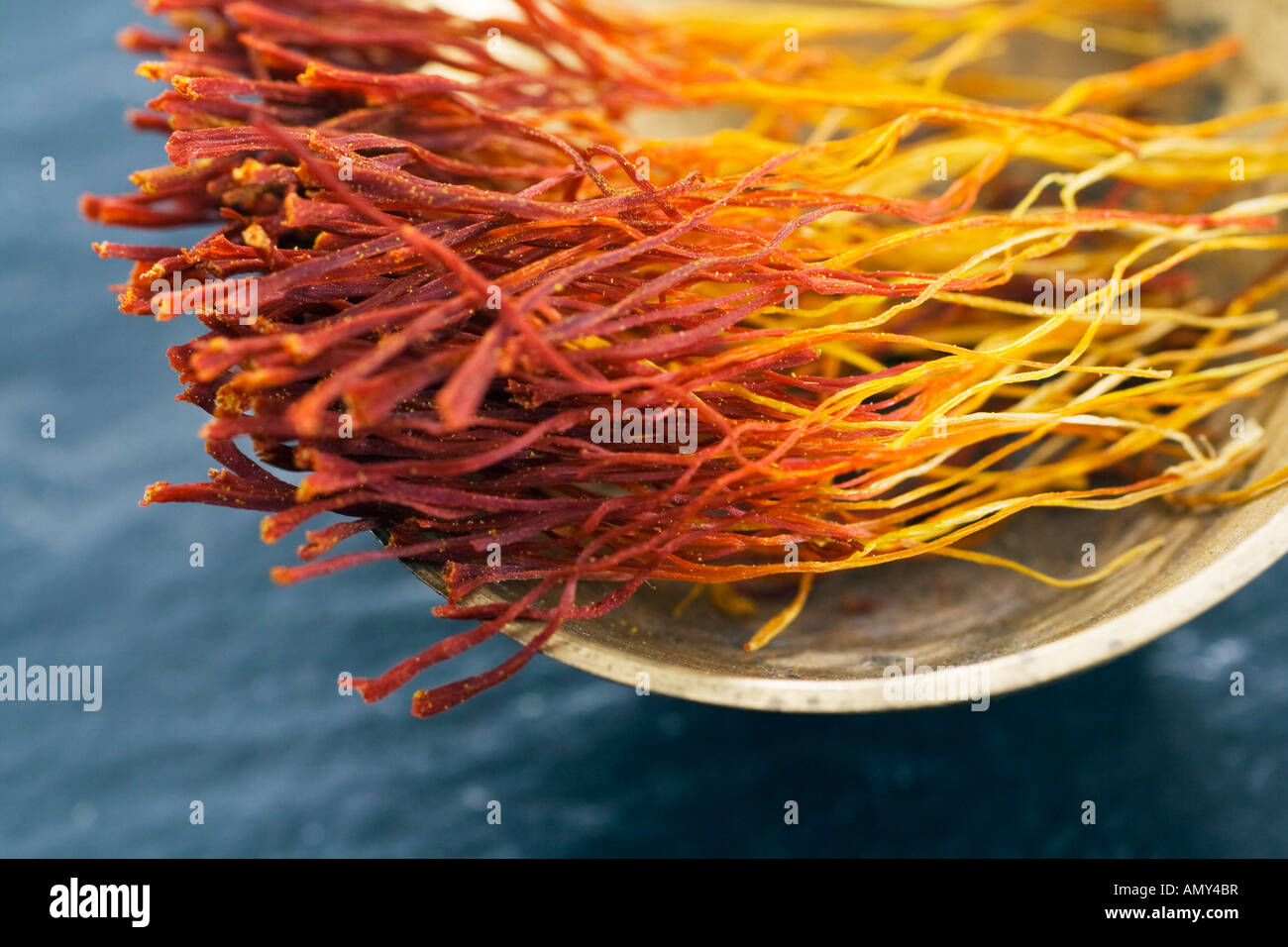 Saffron spice photos hi-res stock photography and images - Alamy