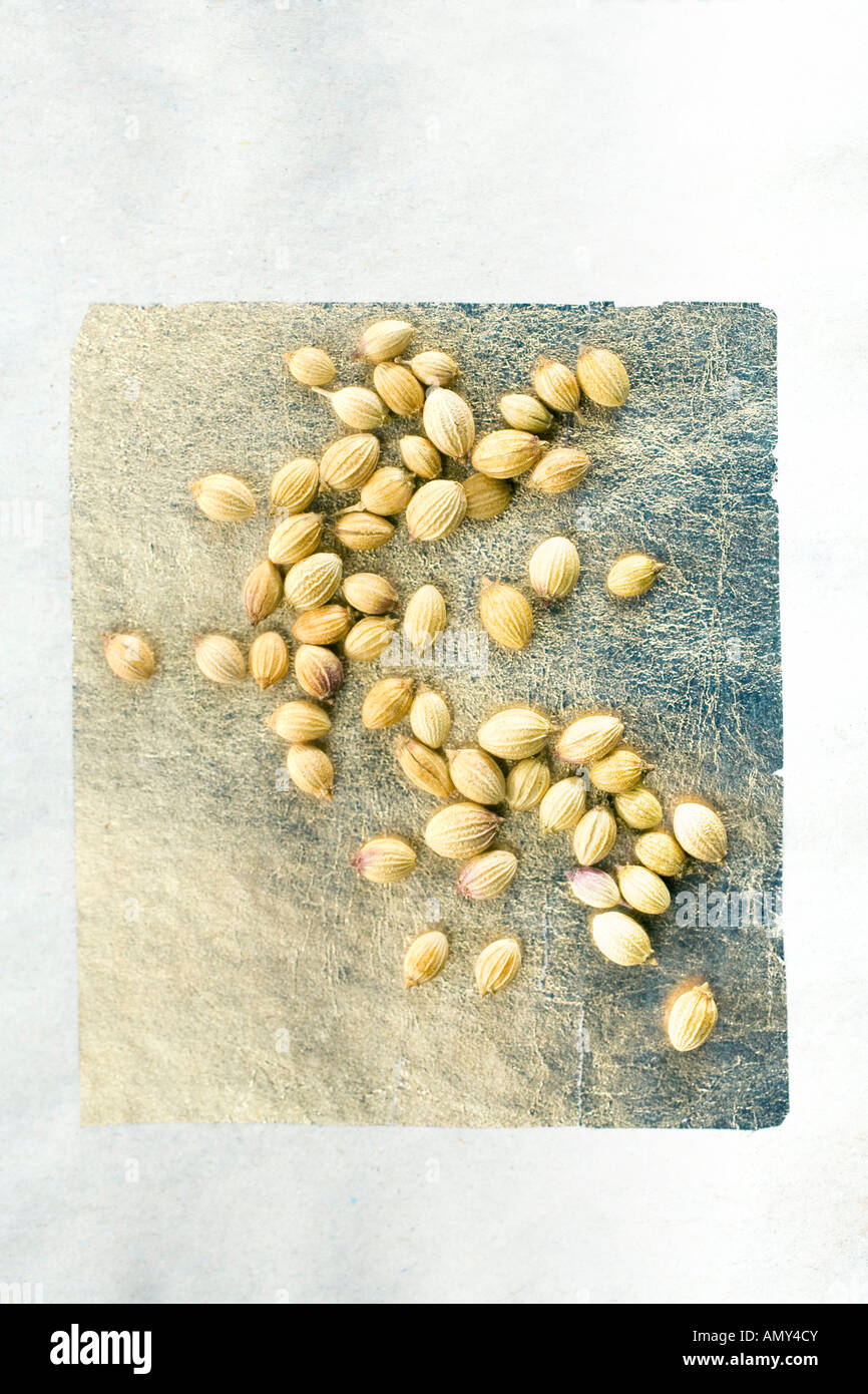 Close up views of seeds hi-res stock photography and images - Alamy