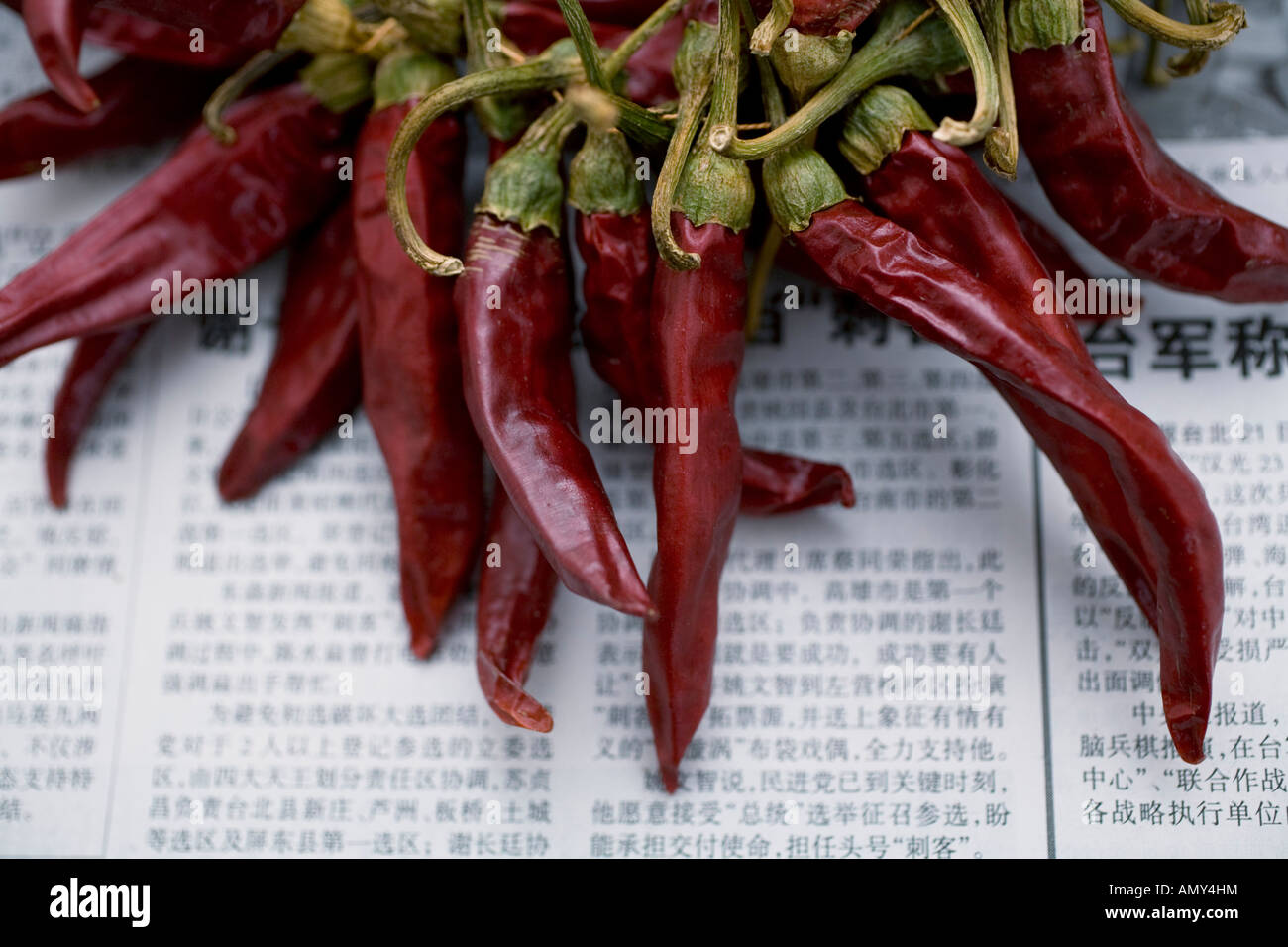 Chilli views hi-res stock photography and images - Alamy
