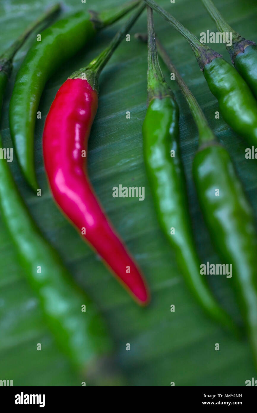 Close-up of chilli peppers Stock Photo - Alamy