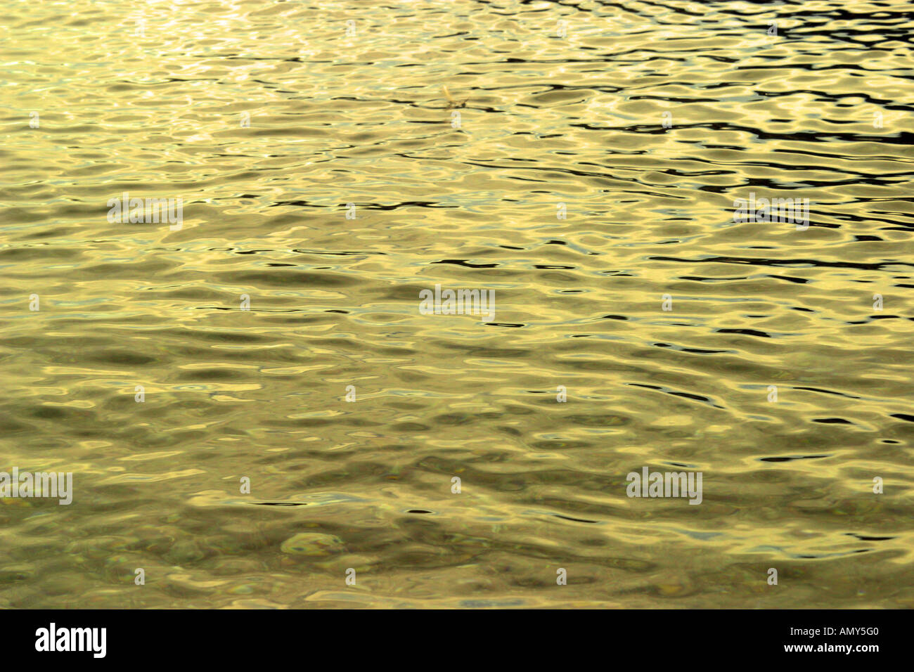 Sun reflecting in the water surface Stock Photo - Alamy