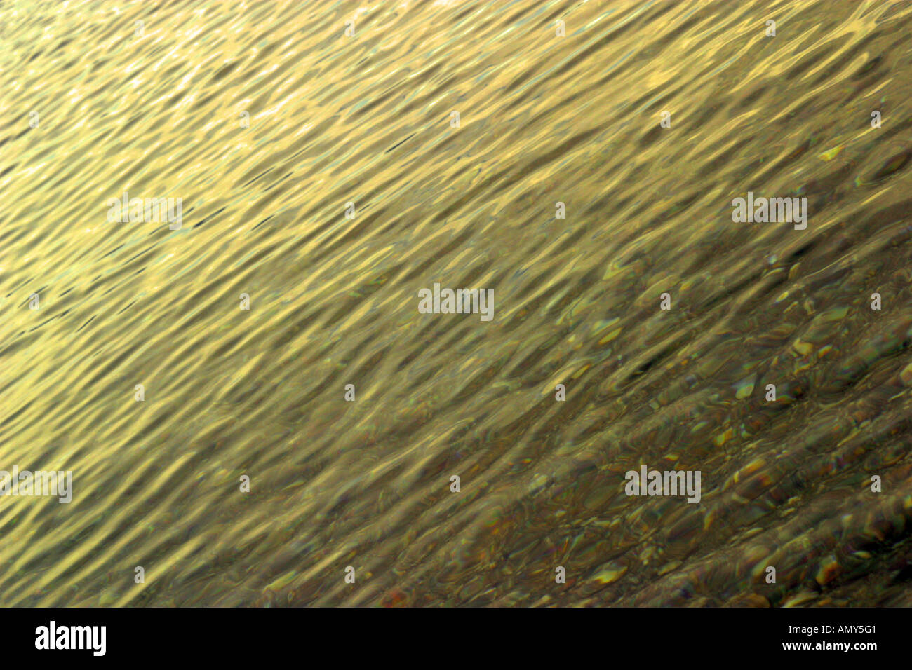 Sun reflecting in the water surface Stock Photo - Alamy