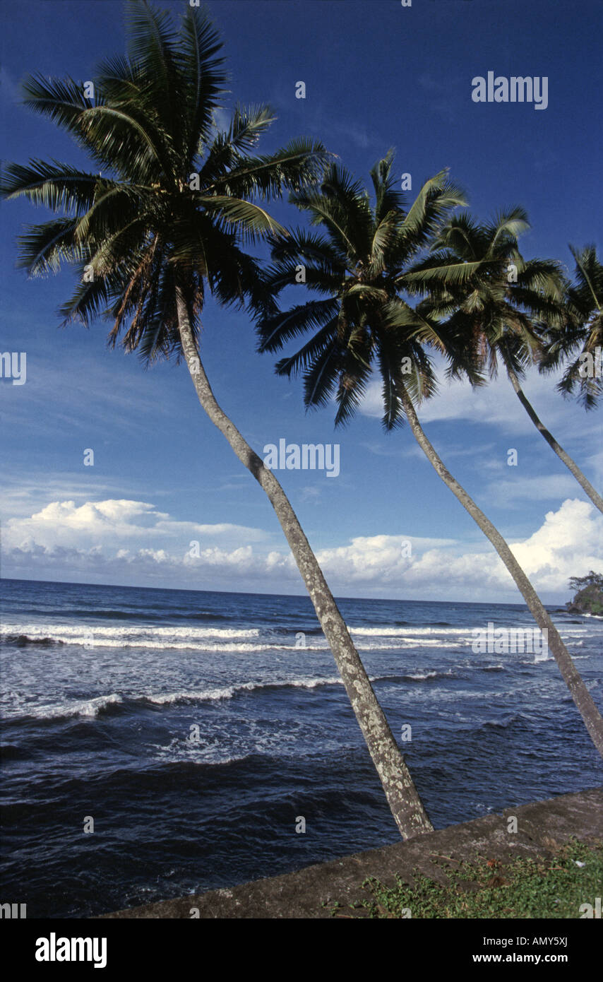 Palm trees at the famous Matavai Bay associated with the Bounty ...