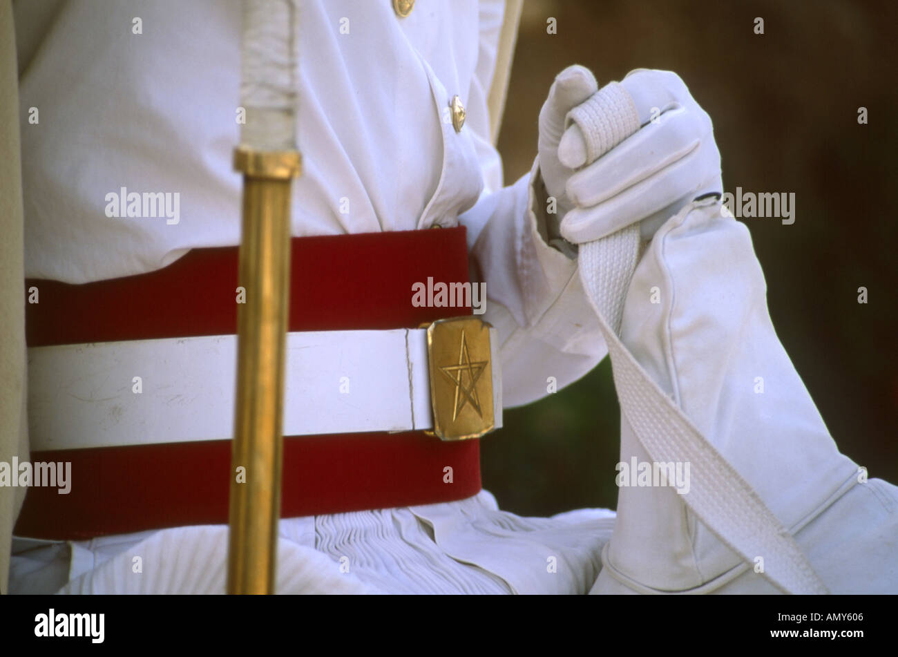 Detail of costume worn by ceremonial guard at the mausoleum of Hassan ...