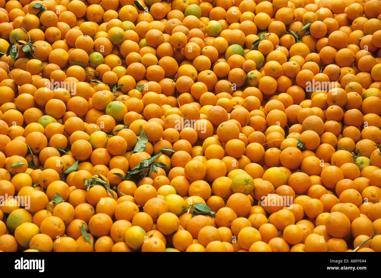 Moroccan oranges for sale hi-res stock photography and images - Alamy