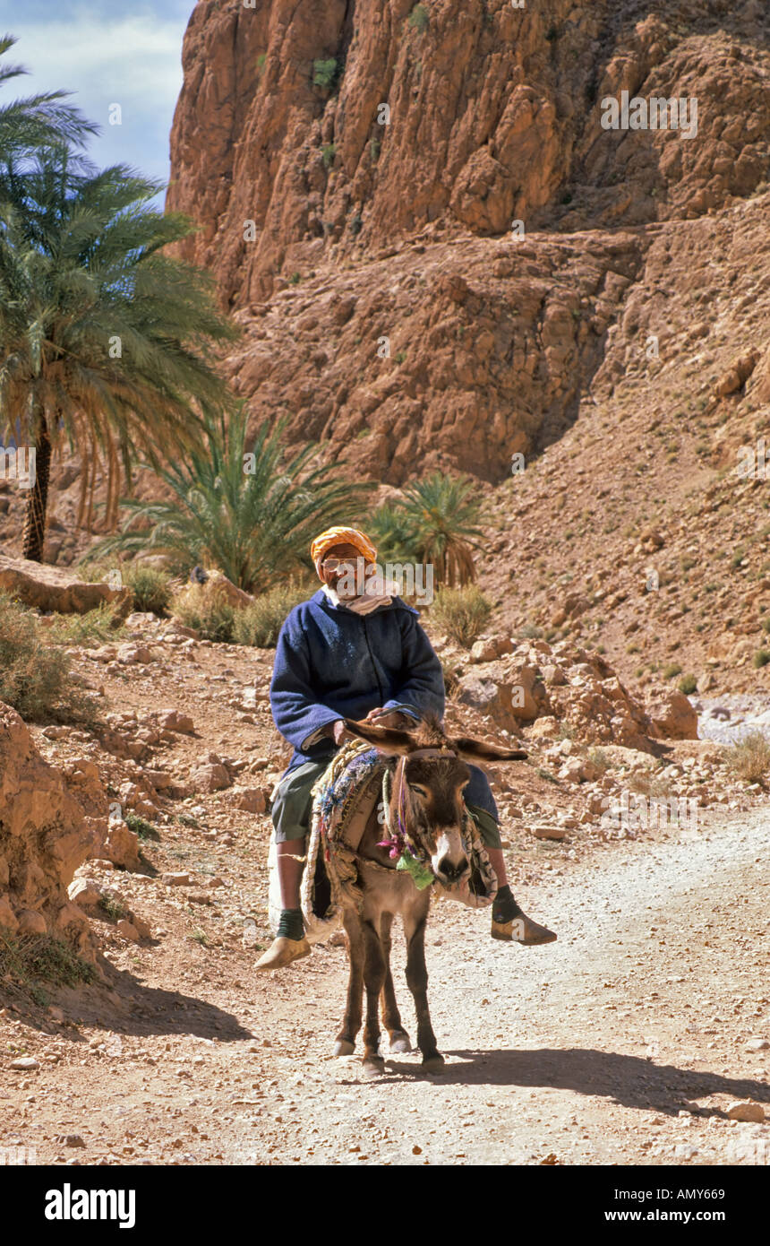 Berber Man on a Donkey, Todra Gorge, Morocco Stock Photo - Alamy