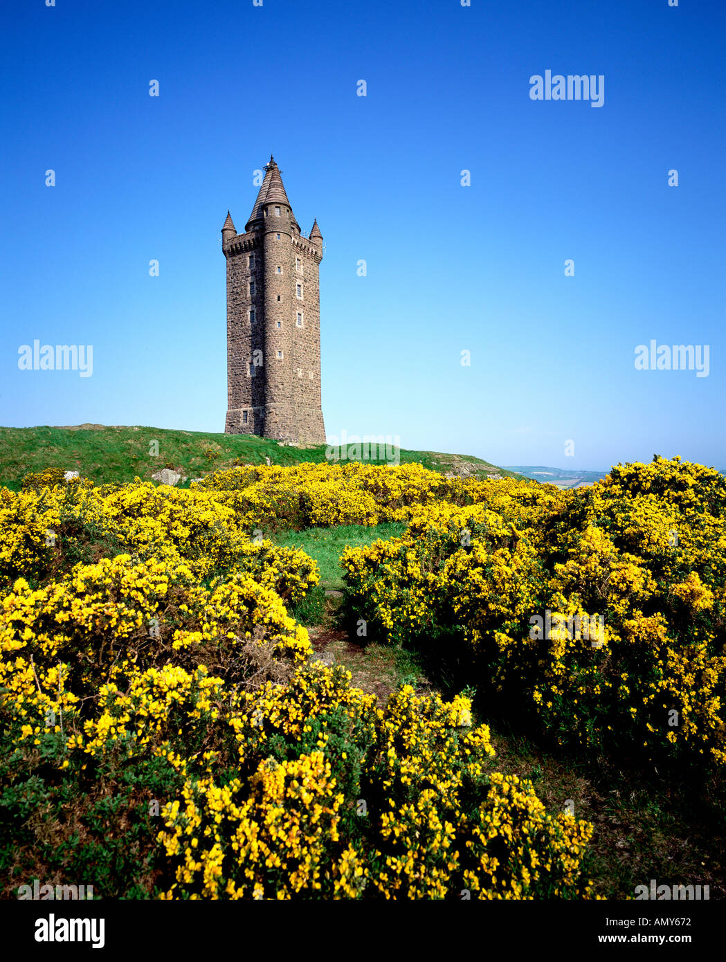 Scrabo co down hi-res stock photography and images - Alamy