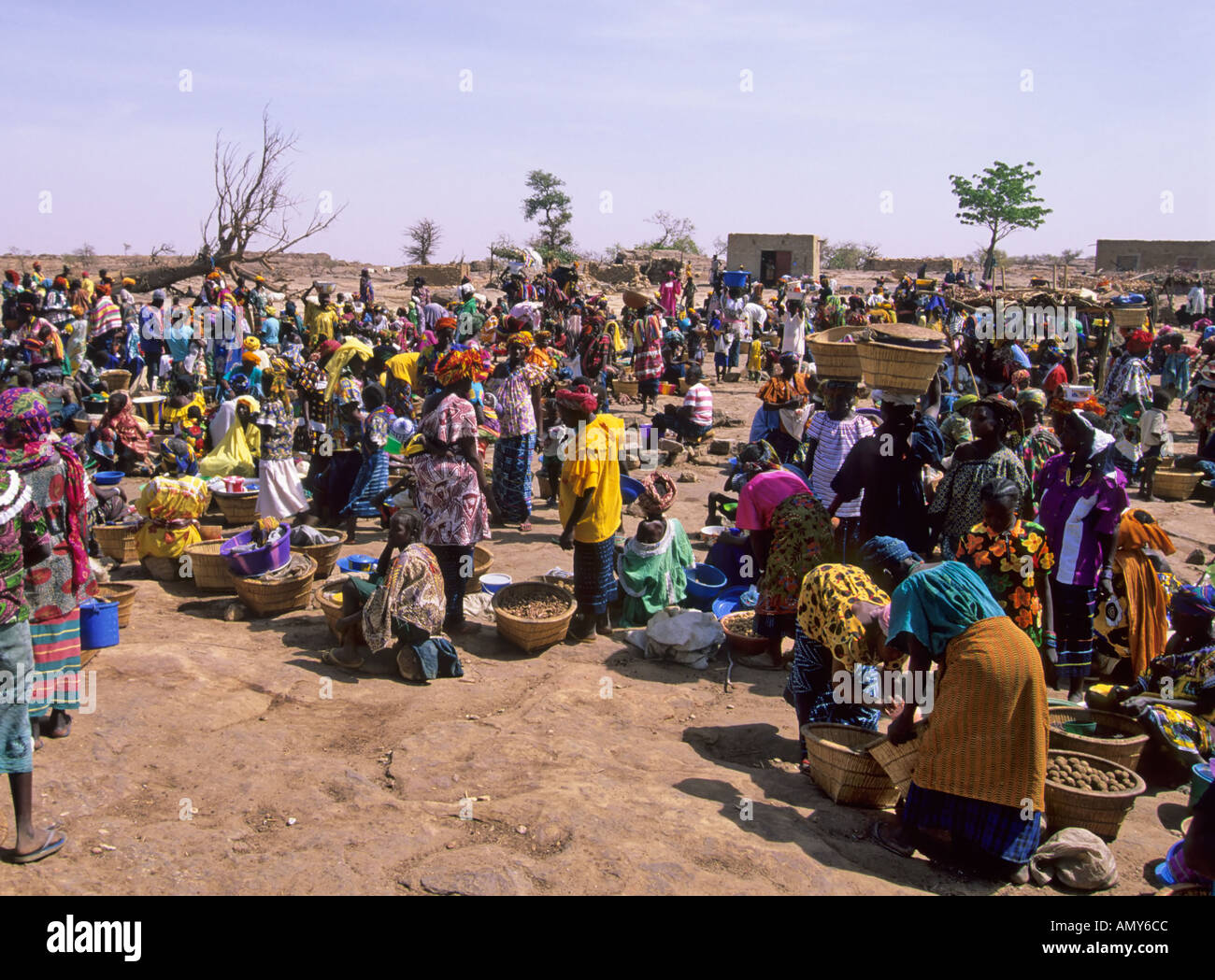 Mali Dogon Women Tribe Stock Photos & Mali Dogon Women Tribe Stock ...