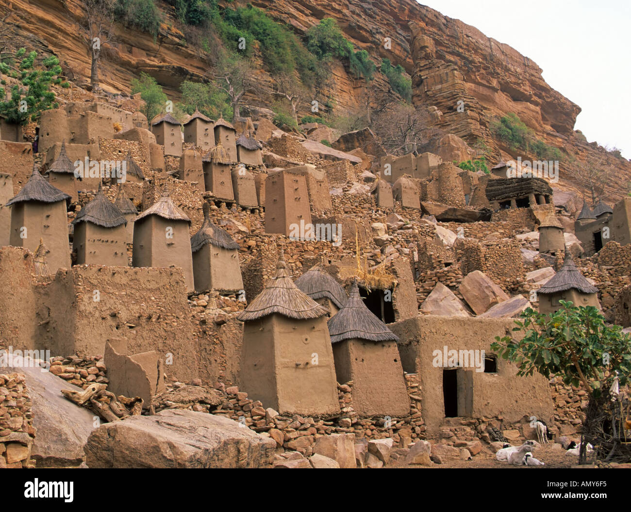 Traditional Dogon granary, Mali Stock Photo - Alamy