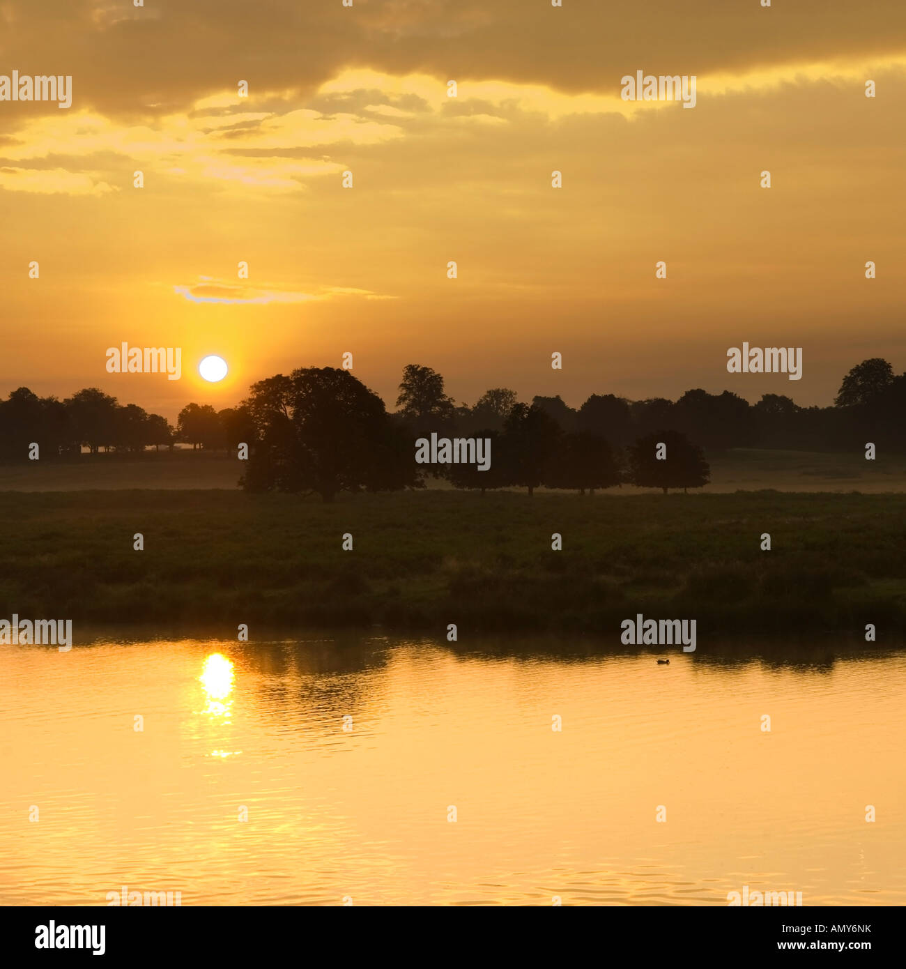 London richmond water lane hi-res stock photography and images - Alamy