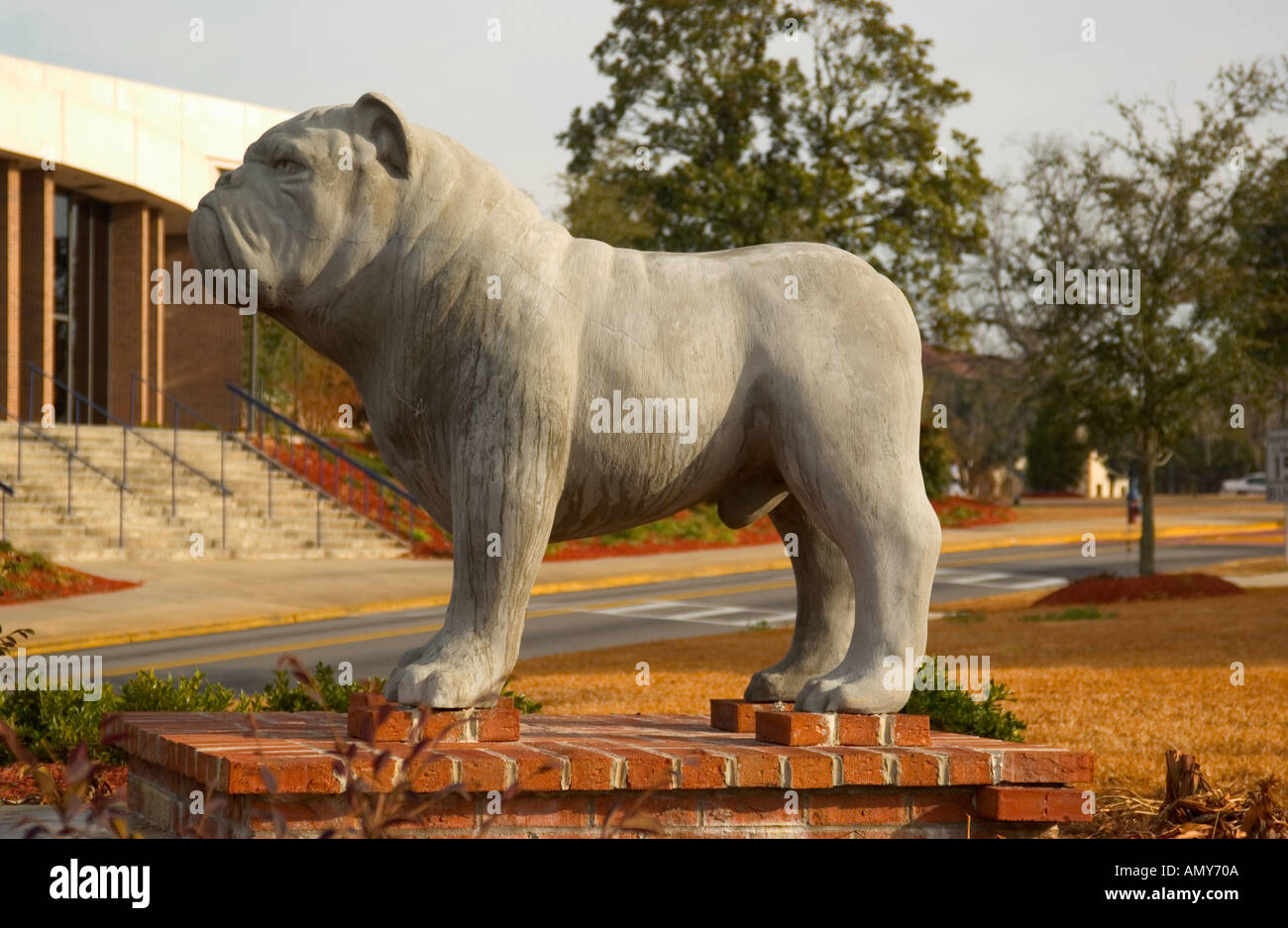 Bulldog statue hi-res stock photography and images - Alamy