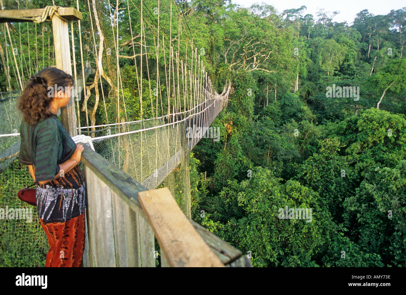 Canopy walkway, Kakum National Park, Ghana Stock Photo - Alamy