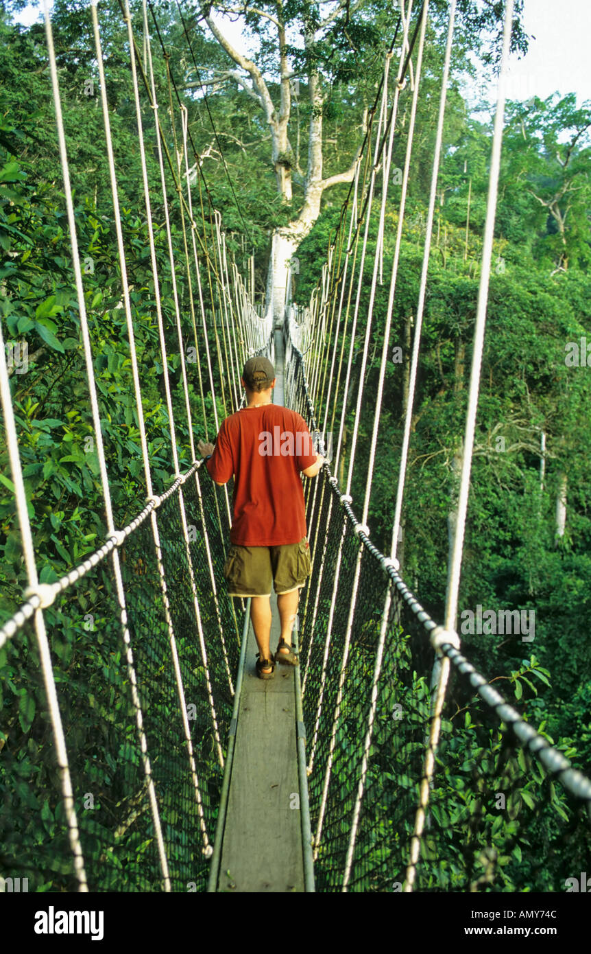 Canopy walkway, Kakum National Park, Ghana Stock Photo - Alamy
